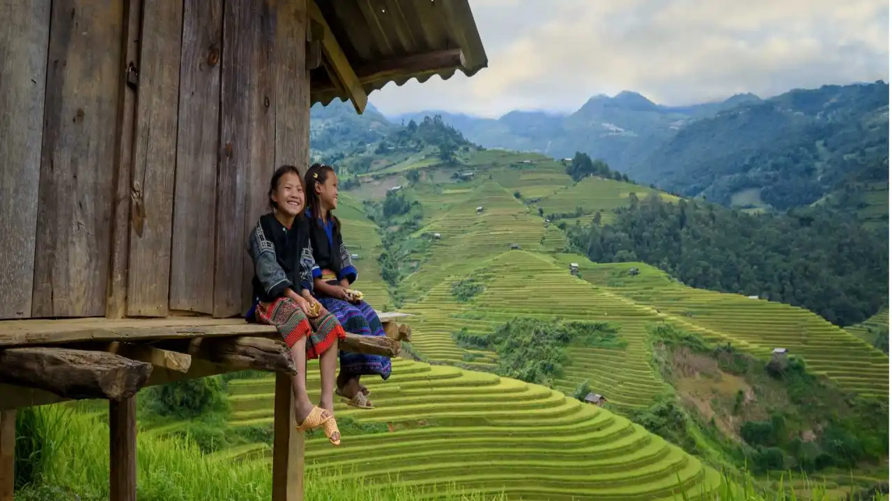 What Are Vietnam’s Tea Trails & Highland Tea Farms?